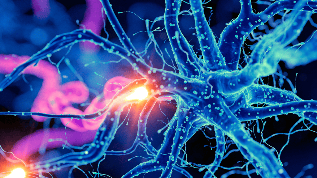 Rerouting Pain Signals to Ease Chronic Pain - Haydel Spine Pain & Wellness